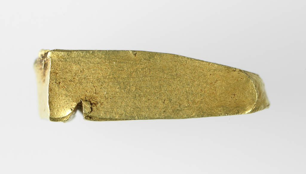 Hack-gold (CM.1800-2008) · Vikings in the East Midlands